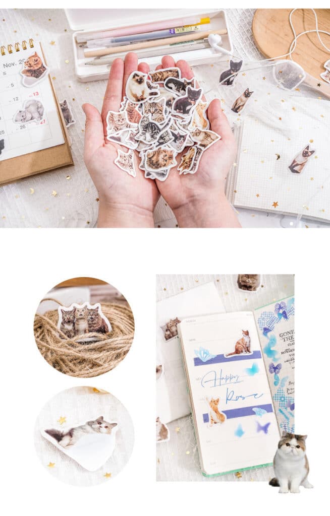 Cute Kitten Stickers Realistic Cat Stickers 48Pcs - Kawaii Peach