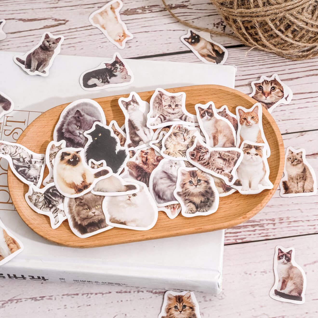 Cute Kitten Stickers Realistic Cat Stickers 48Pcs - Kawaii Peach