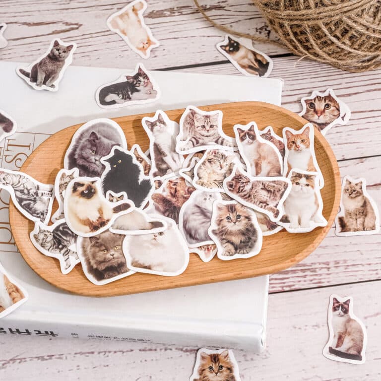 Cute Kitten Stickers Realistic Cat Stickers 48Pcs - Kawaii Peach
