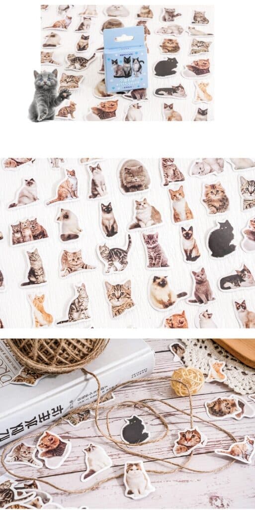 Cute Kitten Stickers Realistic Cat Stickers 48Pcs - Kawaii Peach
