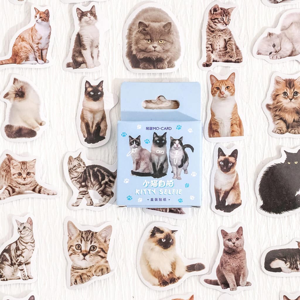 Cute Kitten Stickers Realistic Cat Stickers 48Pcs - Kawaii Peach