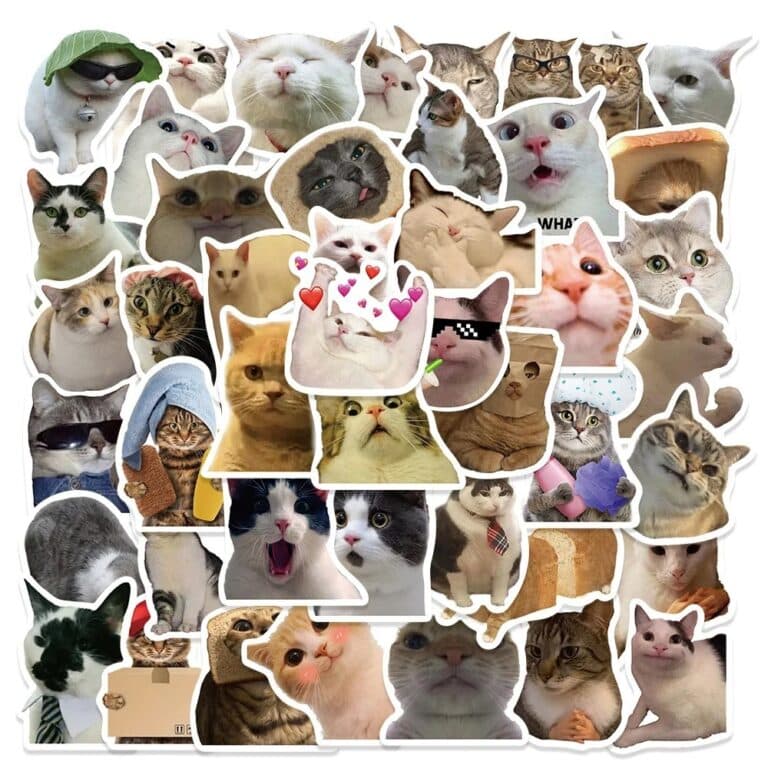 Cat Stickers - Cute Kitty Stickers Shop with Free Shipping!